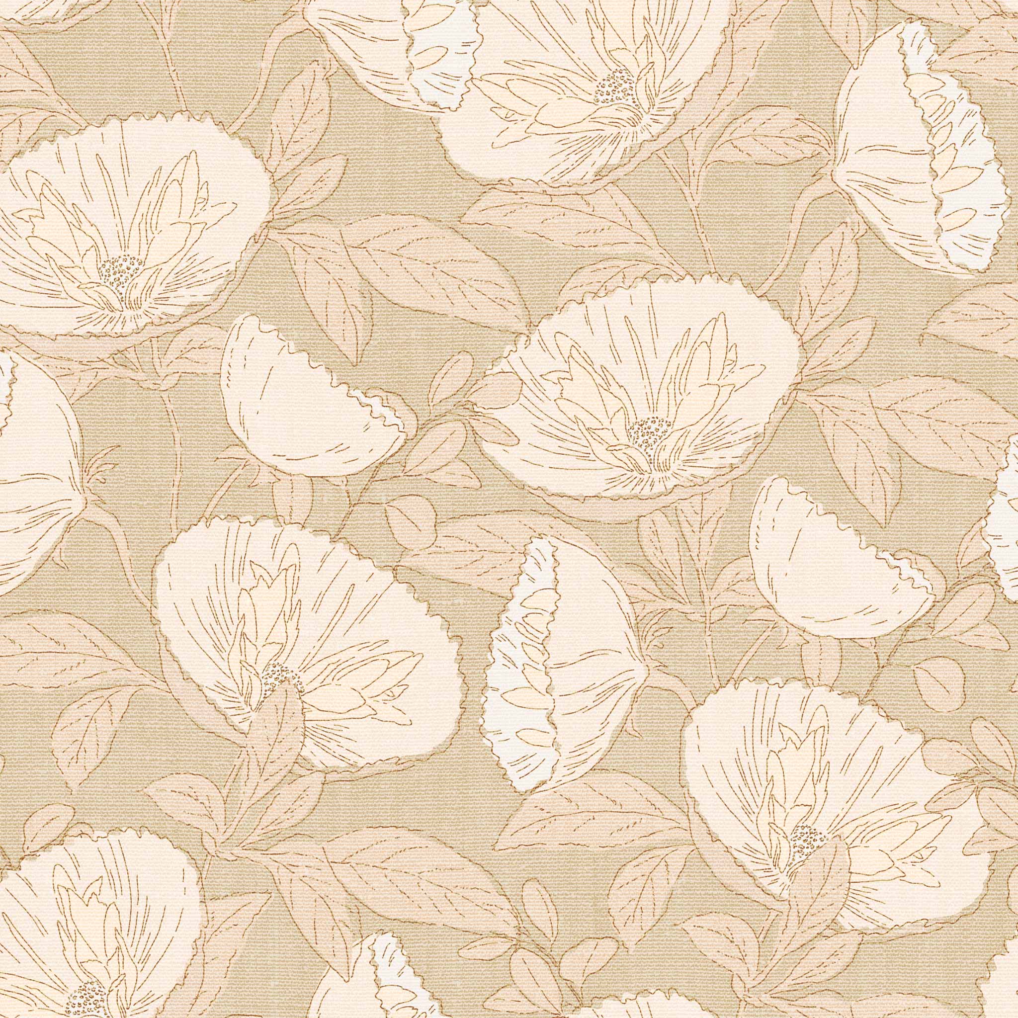 Spring Cosmos Wallpaper - Beige – Ayara Home